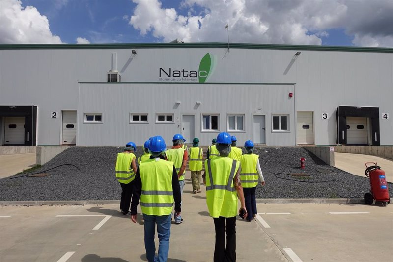 Natac. Líder en el mercado de los ingredientes saludables - Bolsamania.com