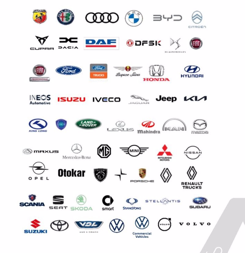 Economía/Motor.- Los socios de Anfac apoyan la decisión de Griffiths de ...