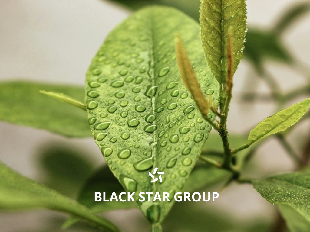 Black Star Group lanza nuevas soluciones para maquinaria agrícola e ...