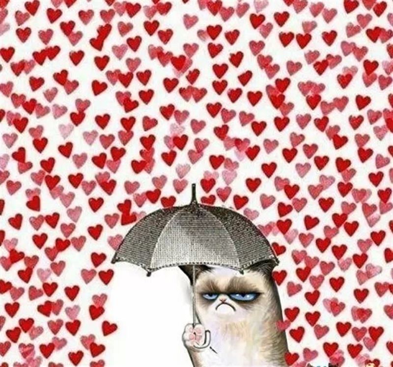 San Valentín: Mira los memes más divertidos que inundan las redes ...